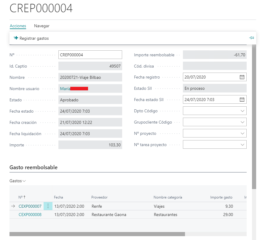 Registro de gastos en diario - InnoQubit Docs
